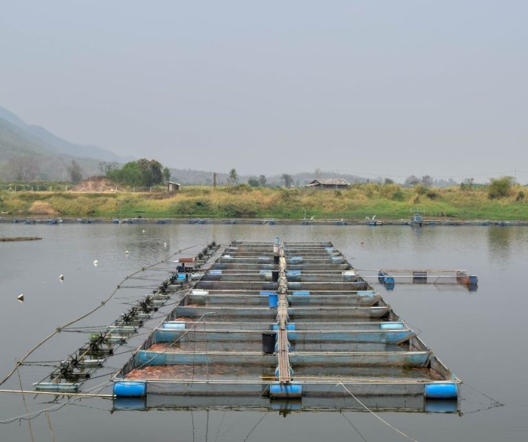 FS-IOT Products – Smart Aquaculture System – Flow Studios
